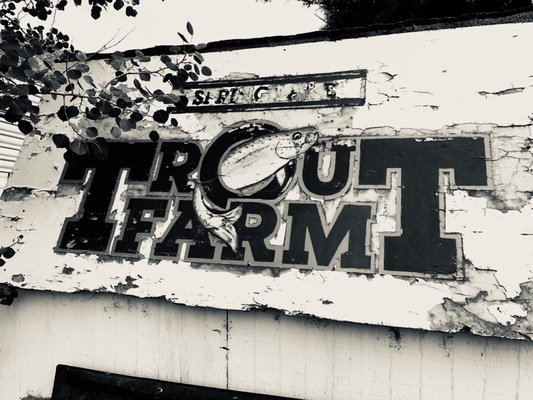 SPRING LAKE TROUT FARM - Updated January 2026 - 15 Photos - 3409 W ...