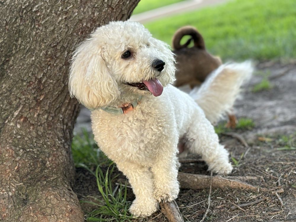 TEWINKLE PARK - Updated December 2025 - 453 Photos & 126 Reviews - 970 ...