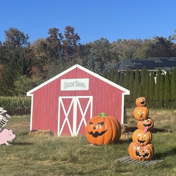 SECOR FARMS - Updated January 2026 - 265 Photos & 86 Reviews - 168 ...