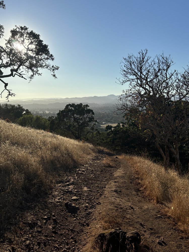 JAMES EYERMAN , MD - Updated December 2025 - 1996 Union St, San ...