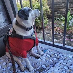 CREST CAFE - Updated January 2026 - 280 Photos & 547 Reviews - 5225 ...