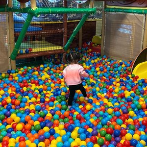 WACKY TACKY - 237 Photos & 376 Reviews - 11327 Folsom Blvd, Rancho ...