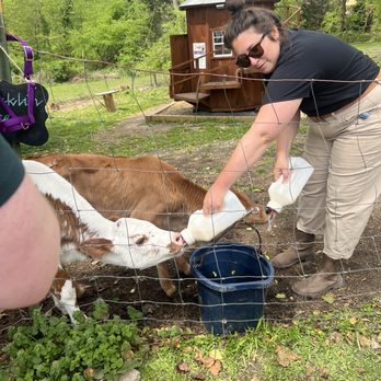 ROSE BRIDGE FARM & SANCTUARY - Updated May 2025 - 225 Photos & 79 ...