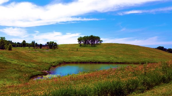 MEACHAM GROVE FOREST PRESERVE | 38 Photos & 14 Reviews | Bloomingdale ...