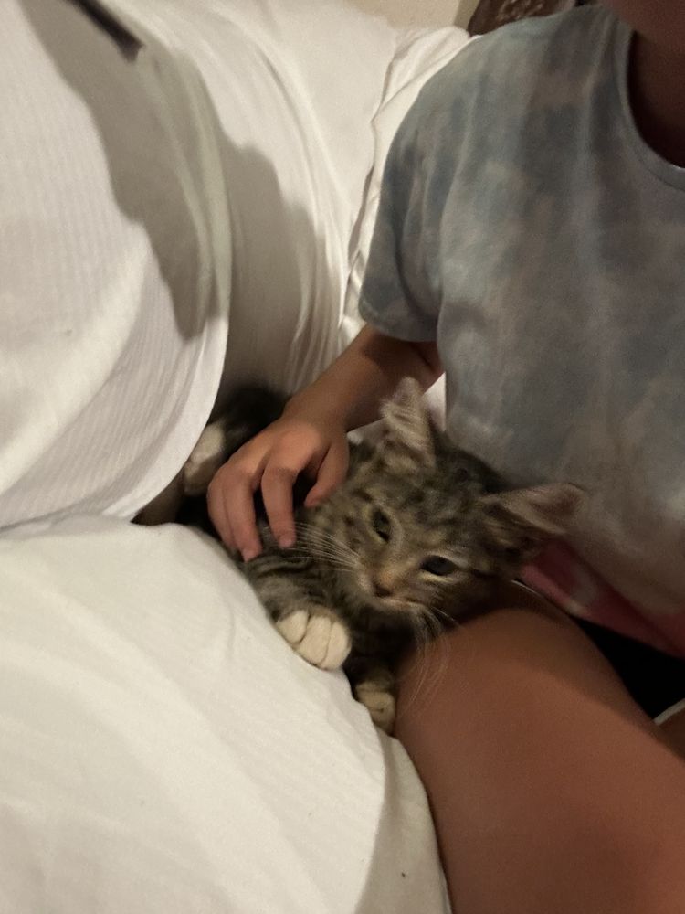 KAYLI’S BABY/CAT SITTING - Updated August 2024 - Virginia Beach ...