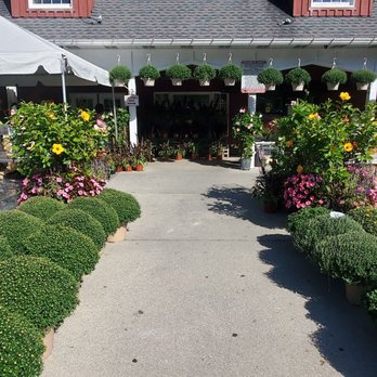 DEMAREST FARM - Updated December 2025 - 873 Photos & 373 Reviews - 244 ...