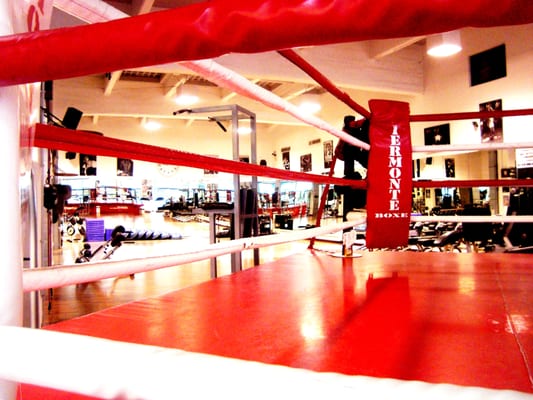 FIERMONTE BOXE - Updated April 2024 - 18 Photos - Viale Parioli 162 ...