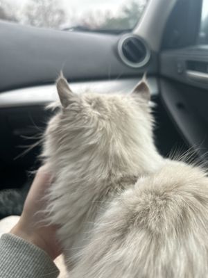 ELKHART COUNTY HUMANE SOCIETY - Updated December 2025 - 15 Reviews ...