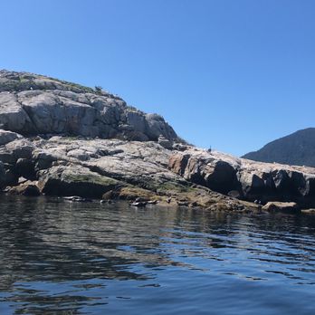 SEWELL’S MARINA - Updated December 2025 - 73 Photos & 33 Reviews - 6409 ...