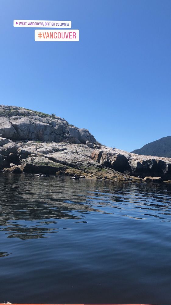 SEWELL’S MARINA - 68 Photos & 29 Reviews - 6409 Bay Street, West ...