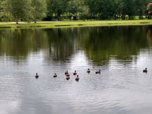 JONES FARM PARK - Updated September 2025 - Carl T Jones Dr, Huntsville ...