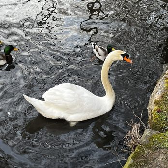 TIBBETS BROOKS PARK - Updated December 2025 - 149 Photos & 52 Reviews ...