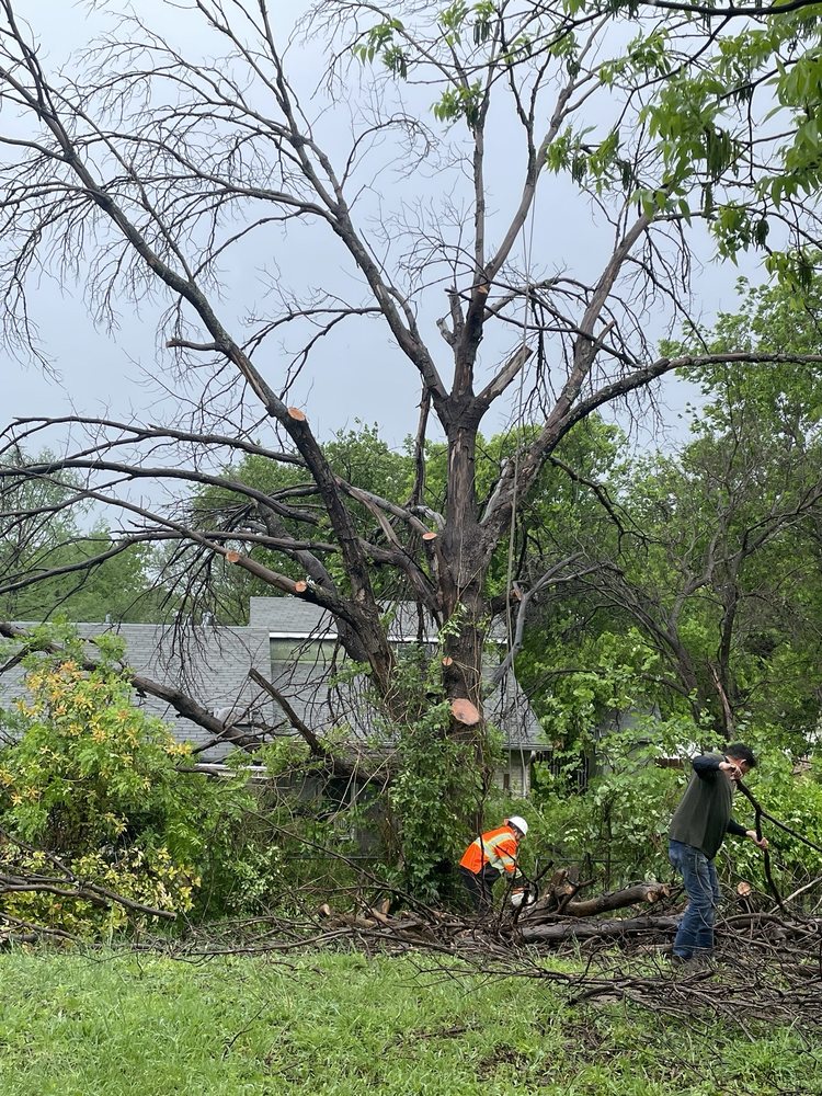 SUPERIOR TREE AND LANDSCAPE - Updated March 2025 - 19 Photos - Fort ...