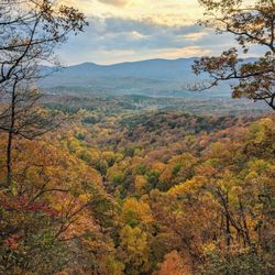 THE 10 BEST Things to Do in Marble, NC - 2023 - Yelp