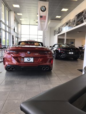 BMW OF SPRINGFIELD - Updated August 2025 - 48 Photos & 148 Reviews ...