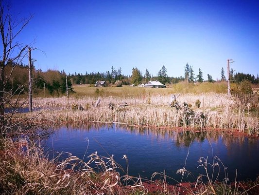 CLEAR CREEK TRAIL - Updated July 2024 - 32 Photos - 9641 Levin Rd ...