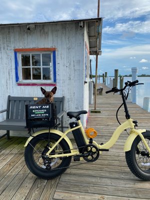 E POWER BIKE SHOP - Updated October 2025 - 12 Photos - 137 Sebastian ...