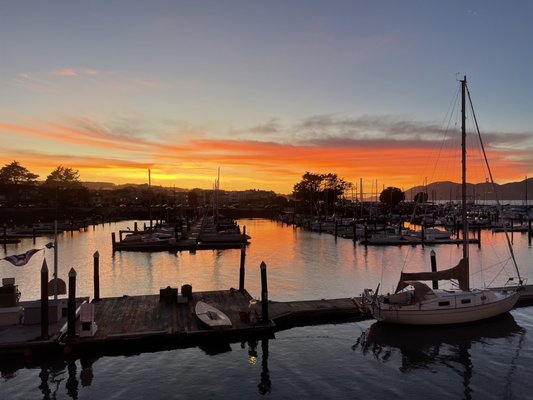 RADHAUS - 734 Photos & 435 Reviews - 2 Marina Blvd, San Francisco, CA ...