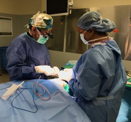 THOMAS P TREVISANI, MD - Updated October 2025 - 15 Photos - 411 W New ...