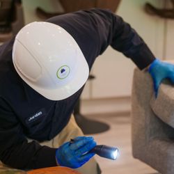 ISSAQUAH PEST CONTROL - 26 Photos & 265 Reviews - 1315 NW Mall St ...