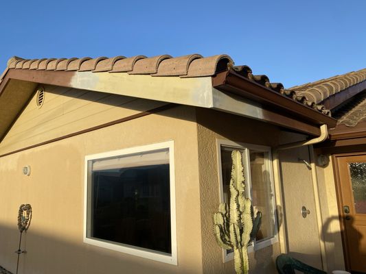 PACIFIC COAST TERMITE - Updated December 2025 - 61 Photos & 446 Reviews ...