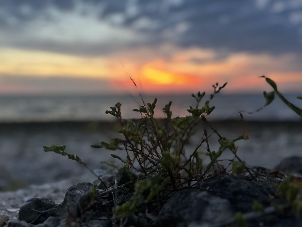 BACKWATER FISHING GUIDE AND ECO TOURS - Updated March 2025 - 28 Photos ...