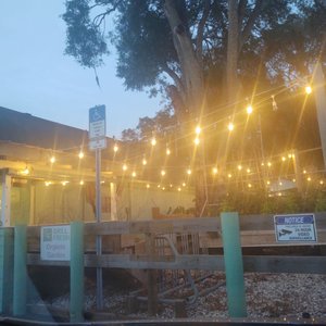 GRILL FRESH - 89 Photos & 81 Reviews - 2485 Nebraska Ave, Palm Harbor ...