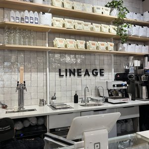 LINEAGE COFFEE ROASTING - 317 Photos & 242 Reviews - 3201 Corrine Dr ...