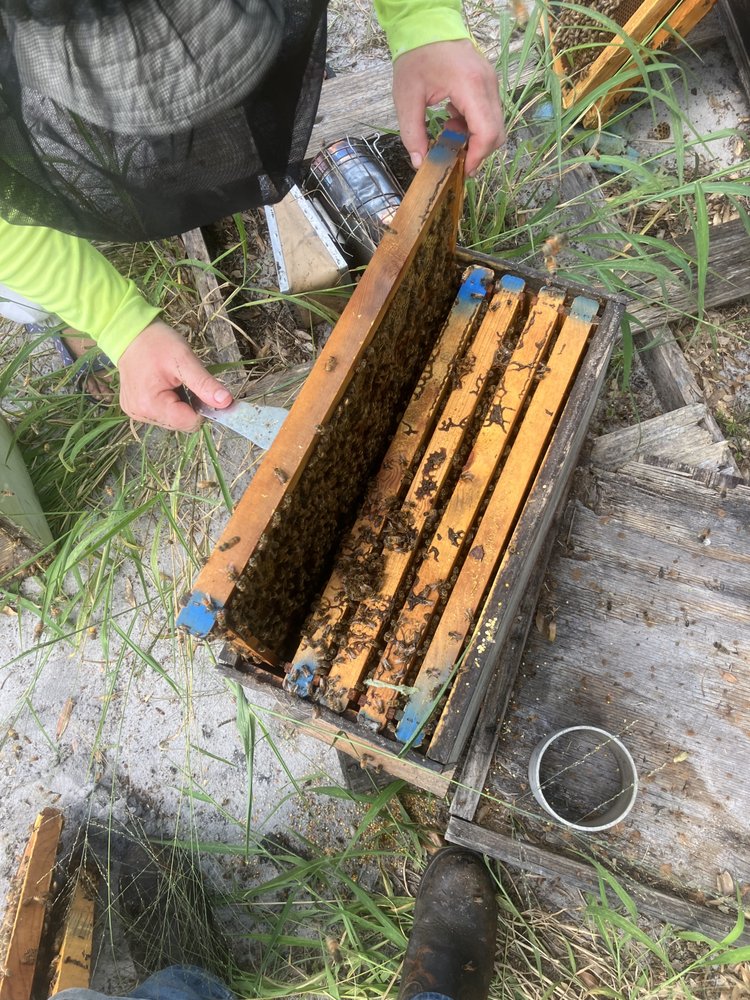 JUSTICE FOR ALL BEES - Updated April 2024 - Request a Quote - Winter ...