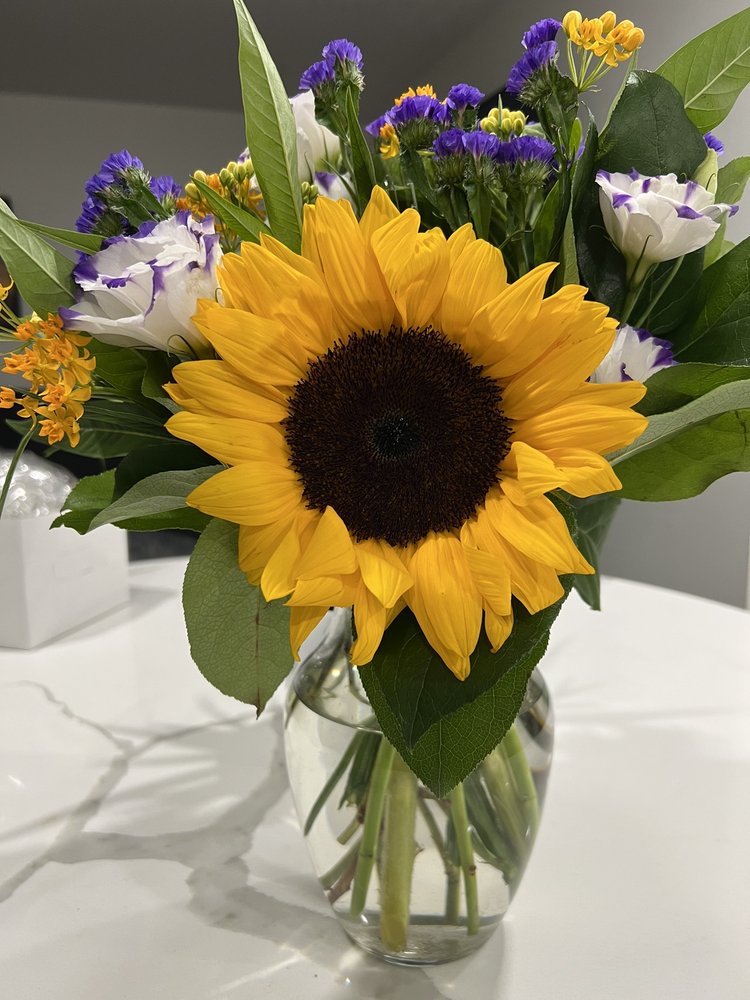 MOSTLY ROSES & NATURE’S ROSE - Updated June 2025 - 6923 Steeles Avenue ...