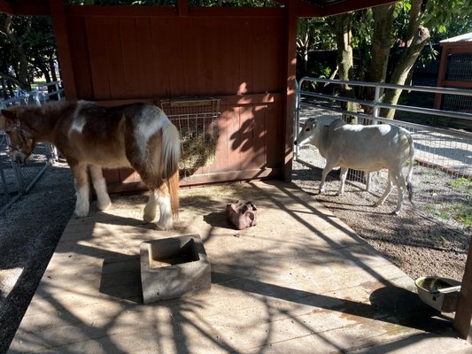 EBENEZER FAMILY FARM - Updated February 2025 - 25 Photos - 6200 SW ...