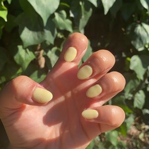 KAYLA NAILS - 551 Photos & 561 Reviews - 1213 Lincoln Ave, San Jose, CA ...