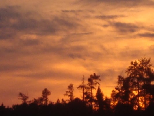 MORAN’S LANDING ON SWAMP LAKE - Updated December 2025 - 14 Photos ...