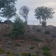 FRISBIE PARK - 18 Photos - 1901-1921 N Acacia Ave, Rialto, California ...