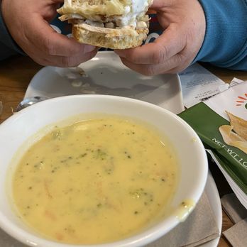 PANERA BREAD - Updated December 2025 - 253 Photos & 462 Reviews - 3560 ...