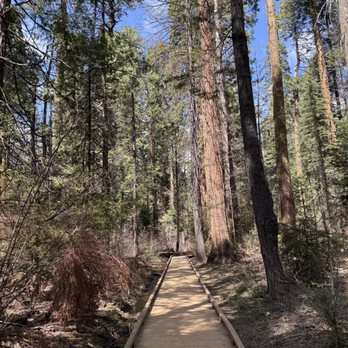 CALAVERAS BIG TREES STATE PARK - Updated December 2025 - 1257 Photos ...