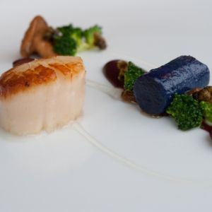 GIULIA - Updated December 2025 - 15 Photos & 12 Reviews - 350 Elgin ...