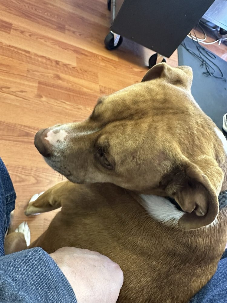 BOBBYS BARBER SHOP - Updated May 2024 - 407 S Mt Shasta Blvd, Mount ...