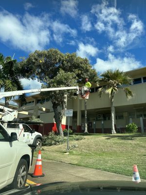 KALANI HIGH SCHOOL - Updated December 2025 - 35 Photos & 10 Reviews ...