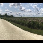 SPRINGBROOK PRAIRIE FOREST PRESERVE - 121 Photos & 34 Reviews - 83RD ...