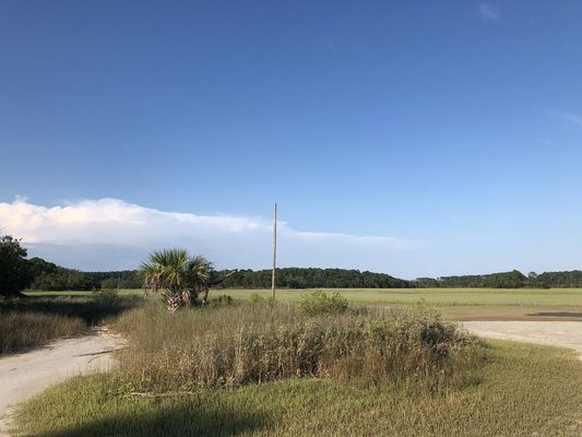 PINCKNEY ISLAND NATIONAL WILDLIFE REFUGE - Updated February 2025 - 12 ...