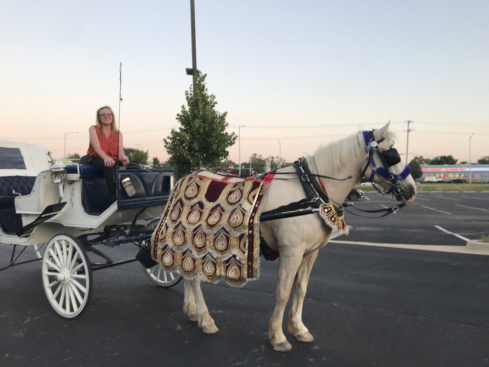 ANTIQUE COACH & CARRIAGE - Updated July 2025 - 51 Photos & 34 Reviews ...