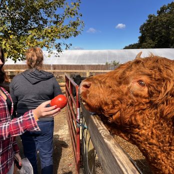 FINK’S COUNTRY FARM - Updated December 2025 - 184 Photos & 82 Reviews ...