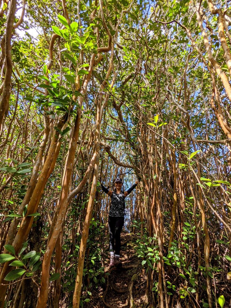 TRIPLER RIDGE - Updated October 2025 - 45 Photos & 17 Reviews - 1 ...