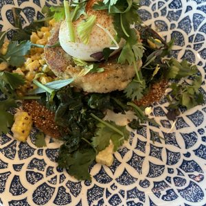 THE HAMPTON SOCIAL - NAPLES - 560 Photos & 359 Reviews - 9114 Strada Pl ...