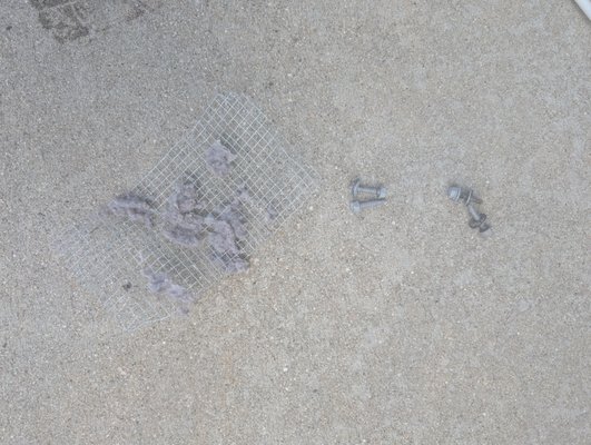 CORKY’S PEST CONTROL - Updated October 2025 - 580 Reviews & 48 Photos ...