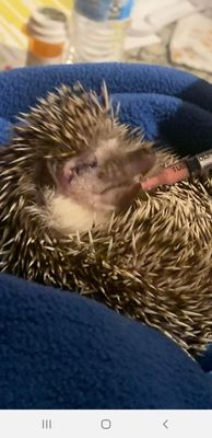 AVIAN AND EXOTIC ANIMAL CARE - Updated July 2025 - 102 Photos & 88 ...