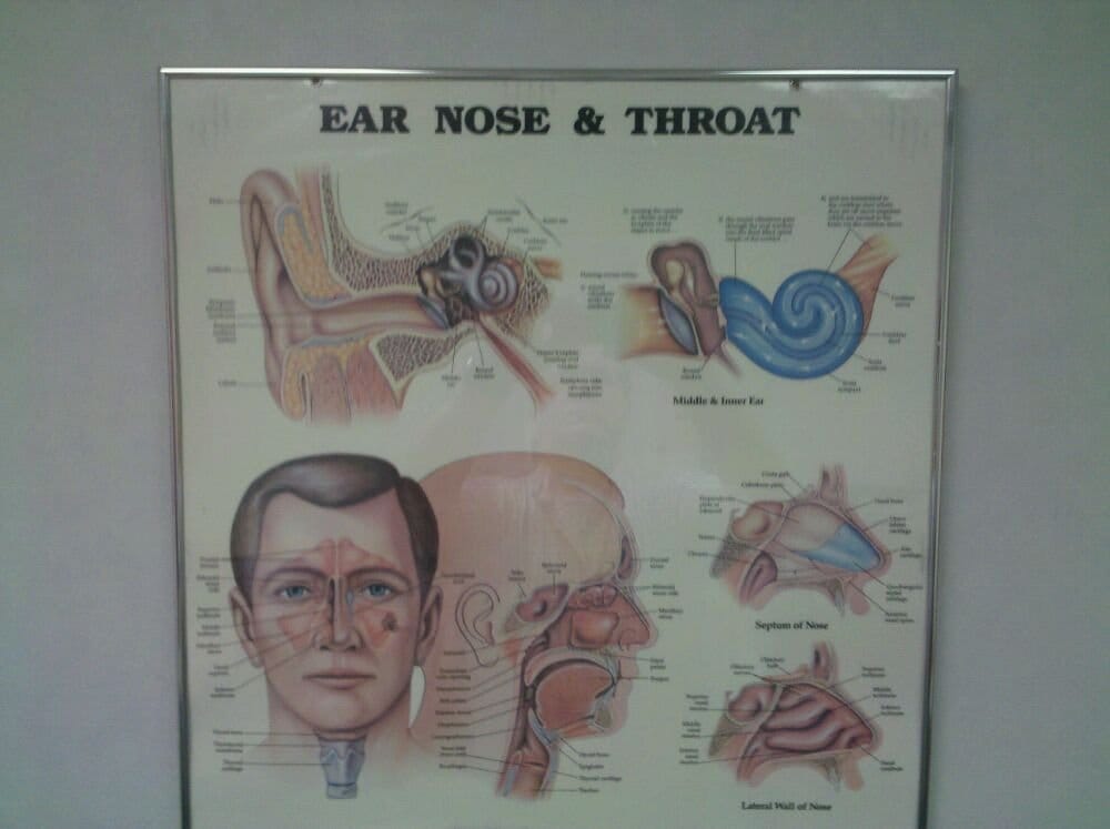 EASTERN VIRGINIA EAR NOSE & THROAT SPECIALISTS - 10 Reviews - Ear Nose ...