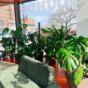 POUNDS - Updated August 2025 - 135 Photos & 143 Reviews - 6 Broadway N ...