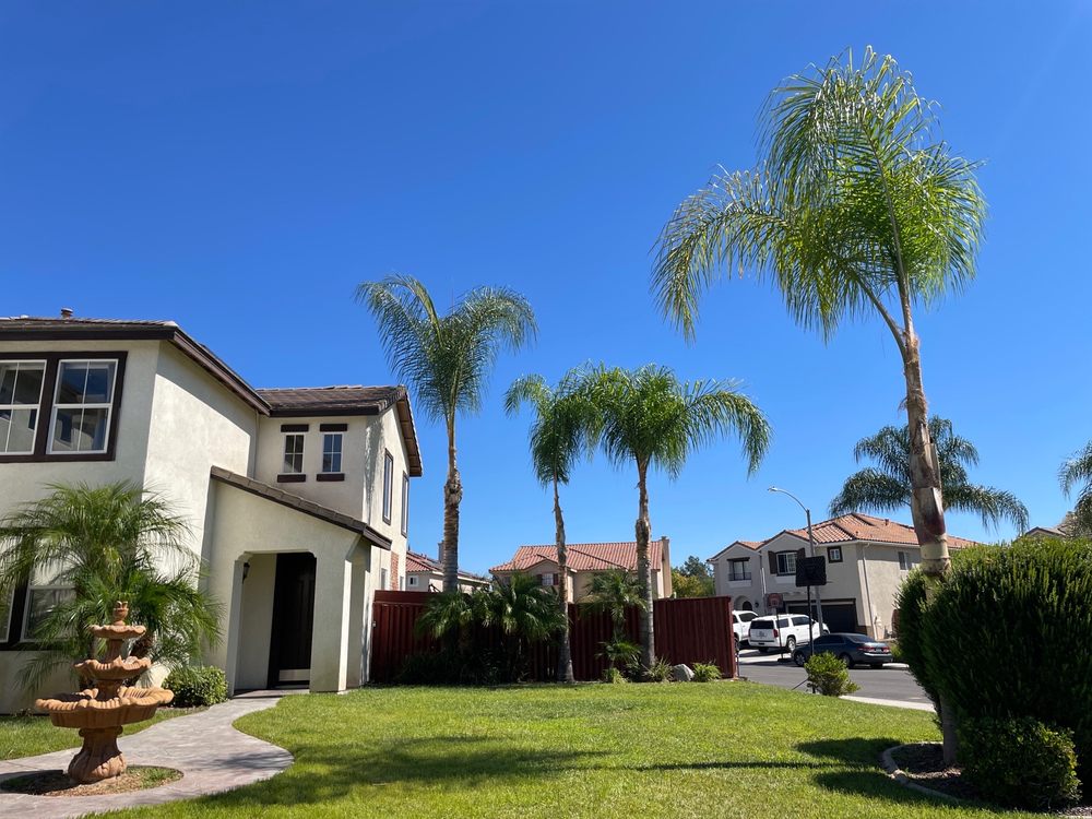 VALLEY TREE CARE 14 Photos 3552 Valley Way Riverside California valley-tree-care-14-photos-3552-valley-way-riverside-california
